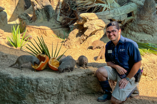 Bringing the Zoo to You - The Houston Zoo