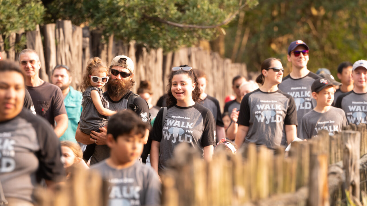 Support Your Zoo - The Houston Zoo