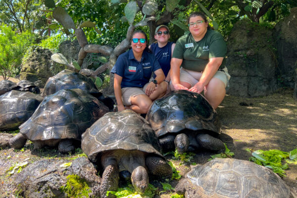 Bringing the Zoo to You - The Houston Zoo