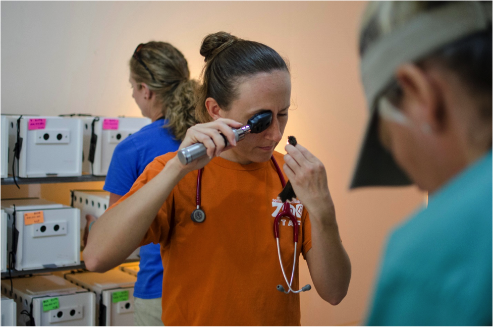 Houston Zoo Bird Staff Saving Wildlife Part 4 - The Houston Zoo