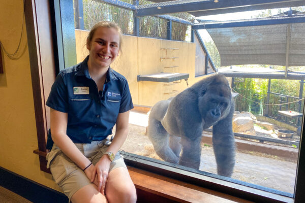 Bringing the Zoo to You - The Houston Zoo