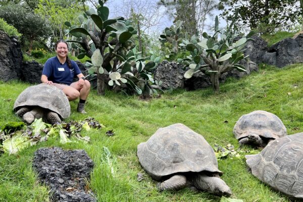 Bringing the Zoo to You - The Houston Zoo
