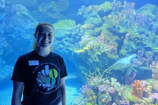 Bringing the Zoo to You - The Houston Zoo