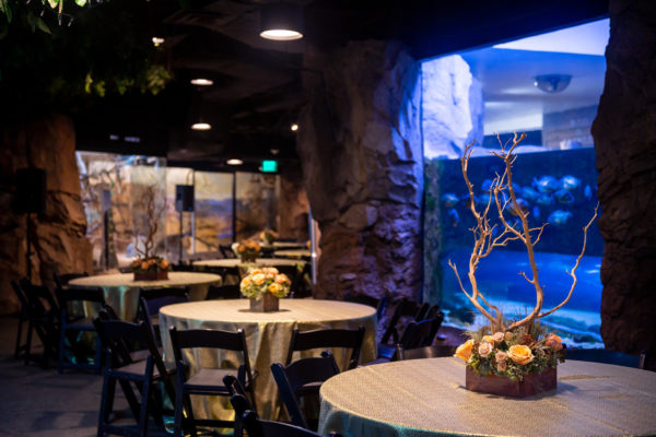 Wedding Receptions - The Houston Zoo