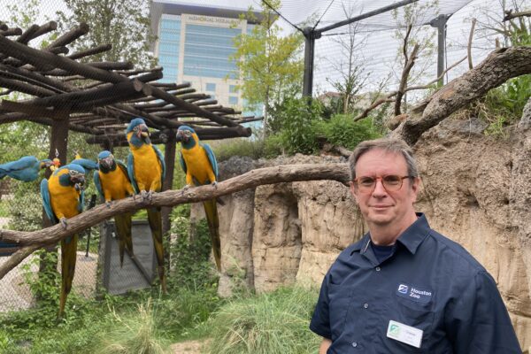 Bringing the Zoo to You - The Houston Zoo
