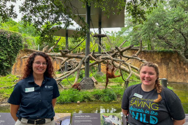 Bringing the Zoo to You - The Houston Zoo