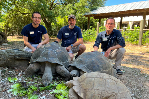 Bringing the Zoo to You - The Houston Zoo