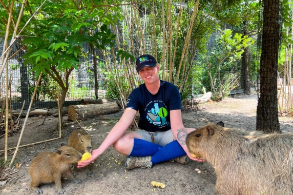 Bringing the Zoo to You - The Houston Zoo