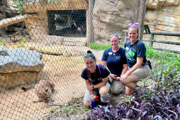 Bringing the Zoo to You - The Houston Zoo