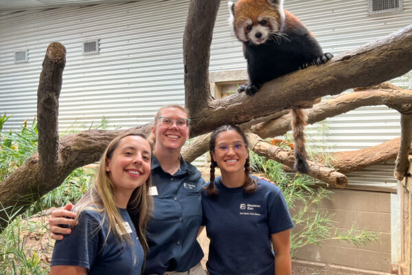 Bringing the Zoo to You - The Houston Zoo