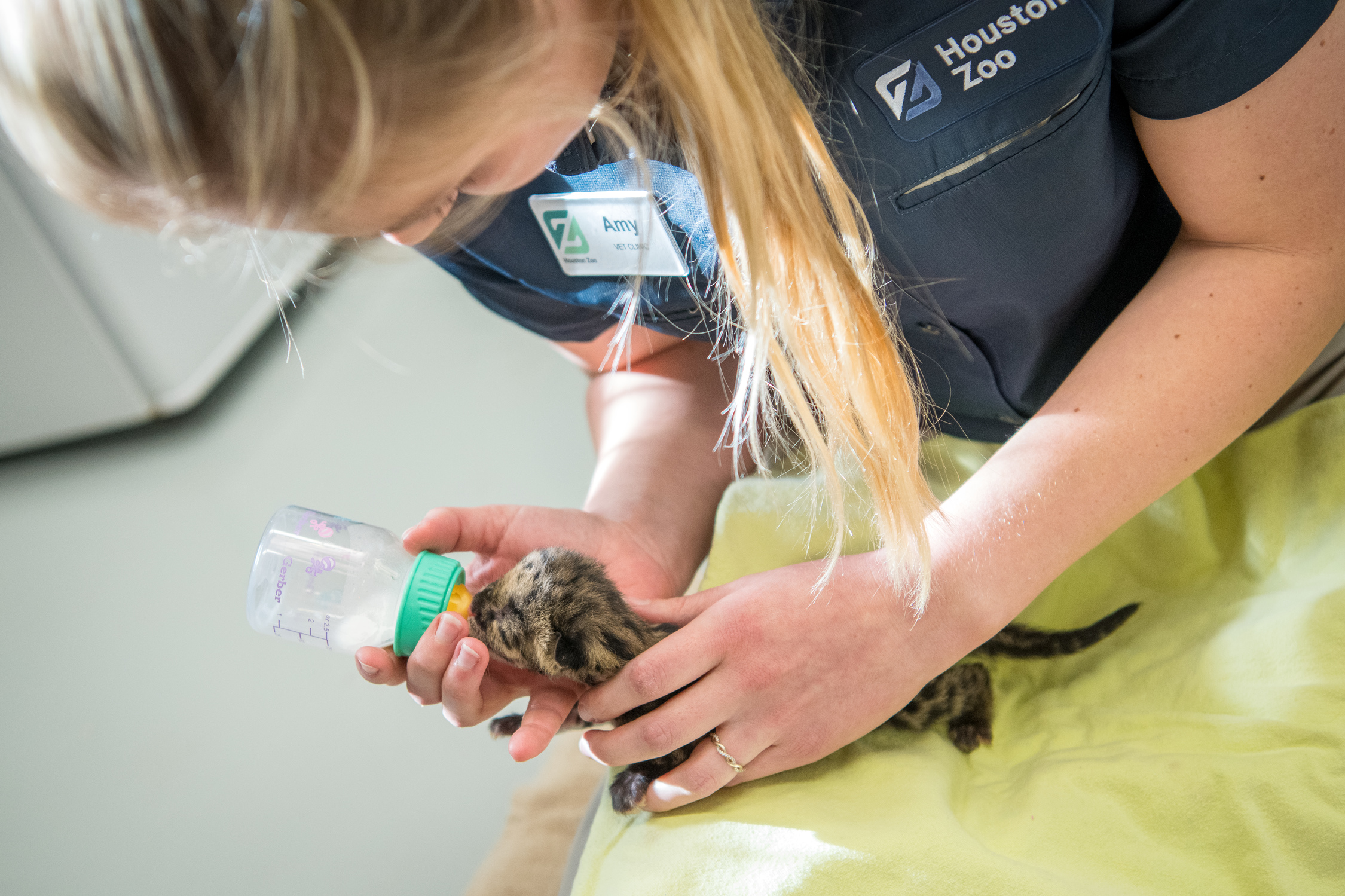 Understanding Hand-Raising - The Houston Zoo