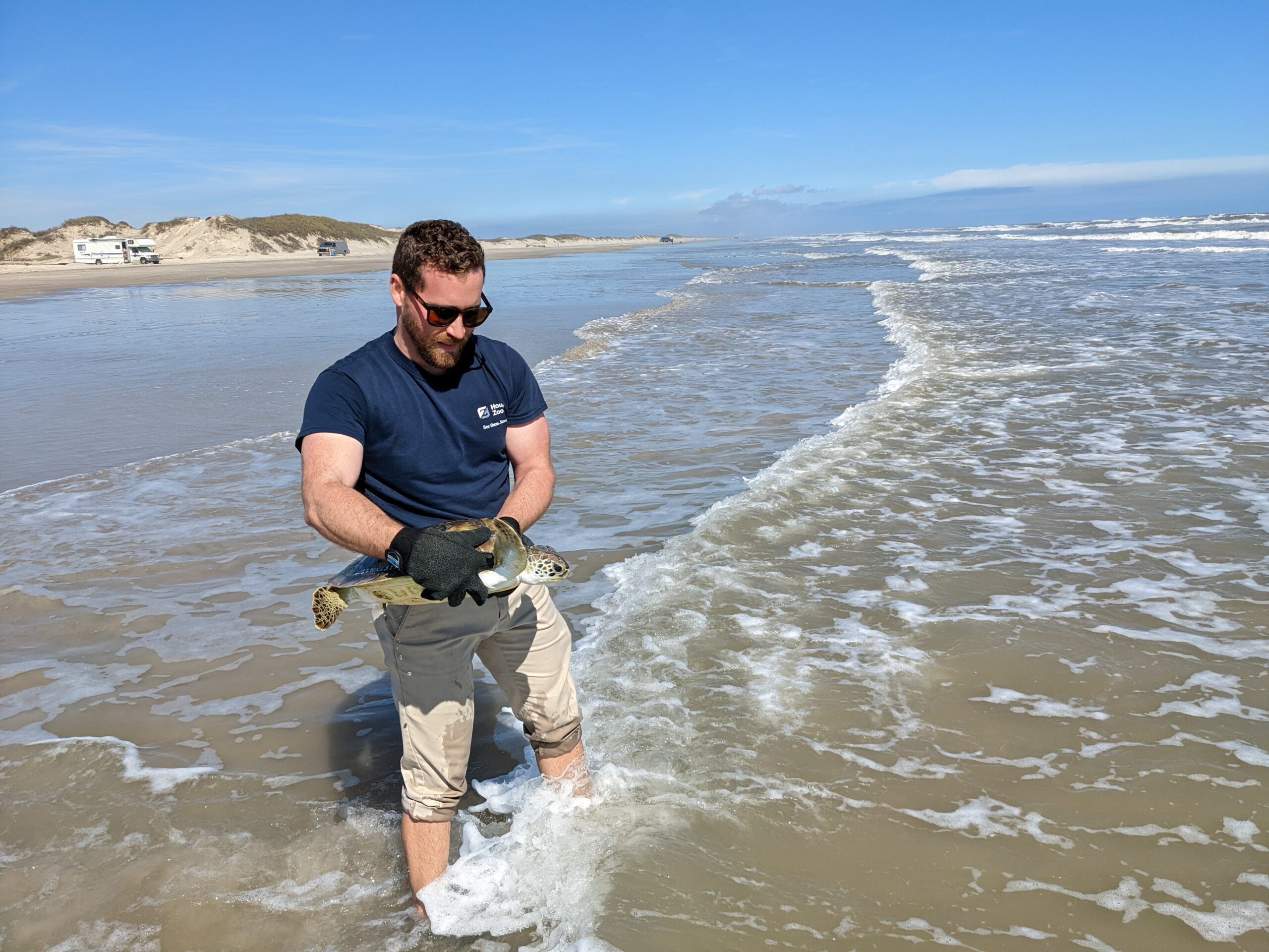 Meet Our Sea Turtle Staff - The Houston Zoo
