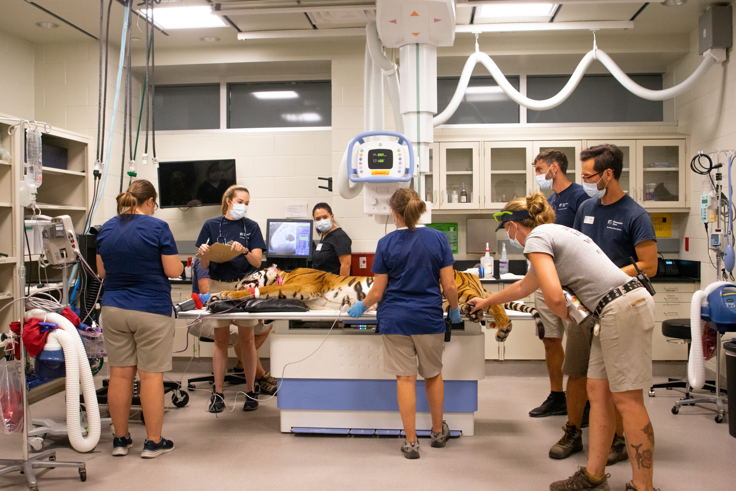 Celebrating our Vet techs - The Houston Zoo