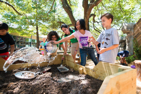Explore the Wild! Nature Play Area - The Houston Zoo