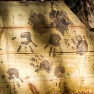 Explore the Wild! Nature Play Area - The Houston Zoo