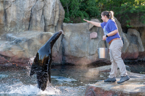Feast with the Beasts - Restaurants - The Houston Zoo