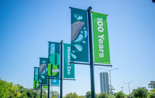 Celebrating Our Centennial - The Houston Zoo