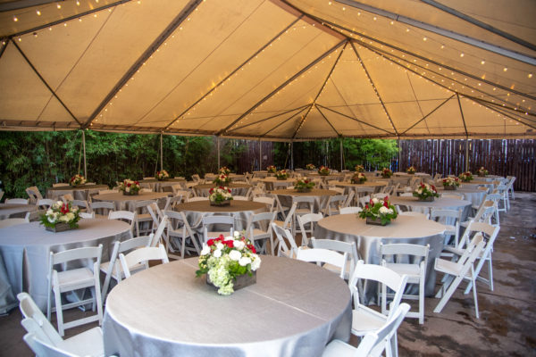 Wedding Receptions - The Houston Zoo