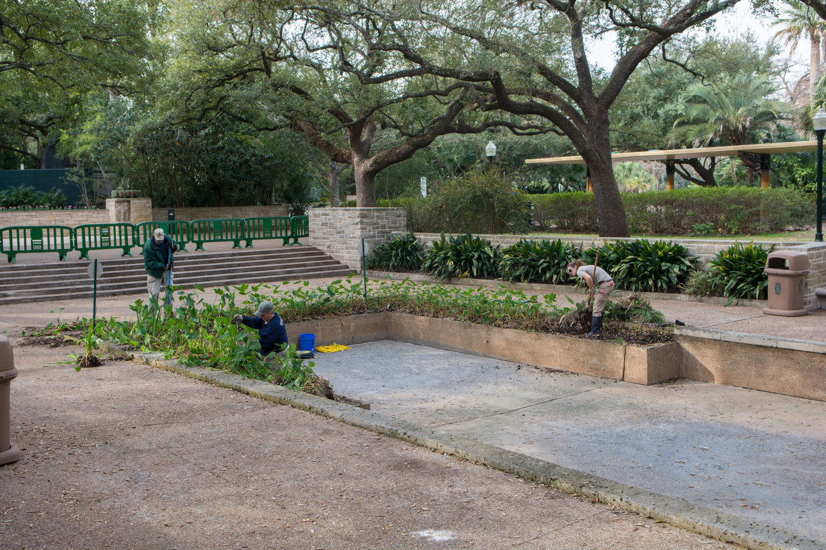 Reflection Pool Gets a New Look - The Houston Zoo