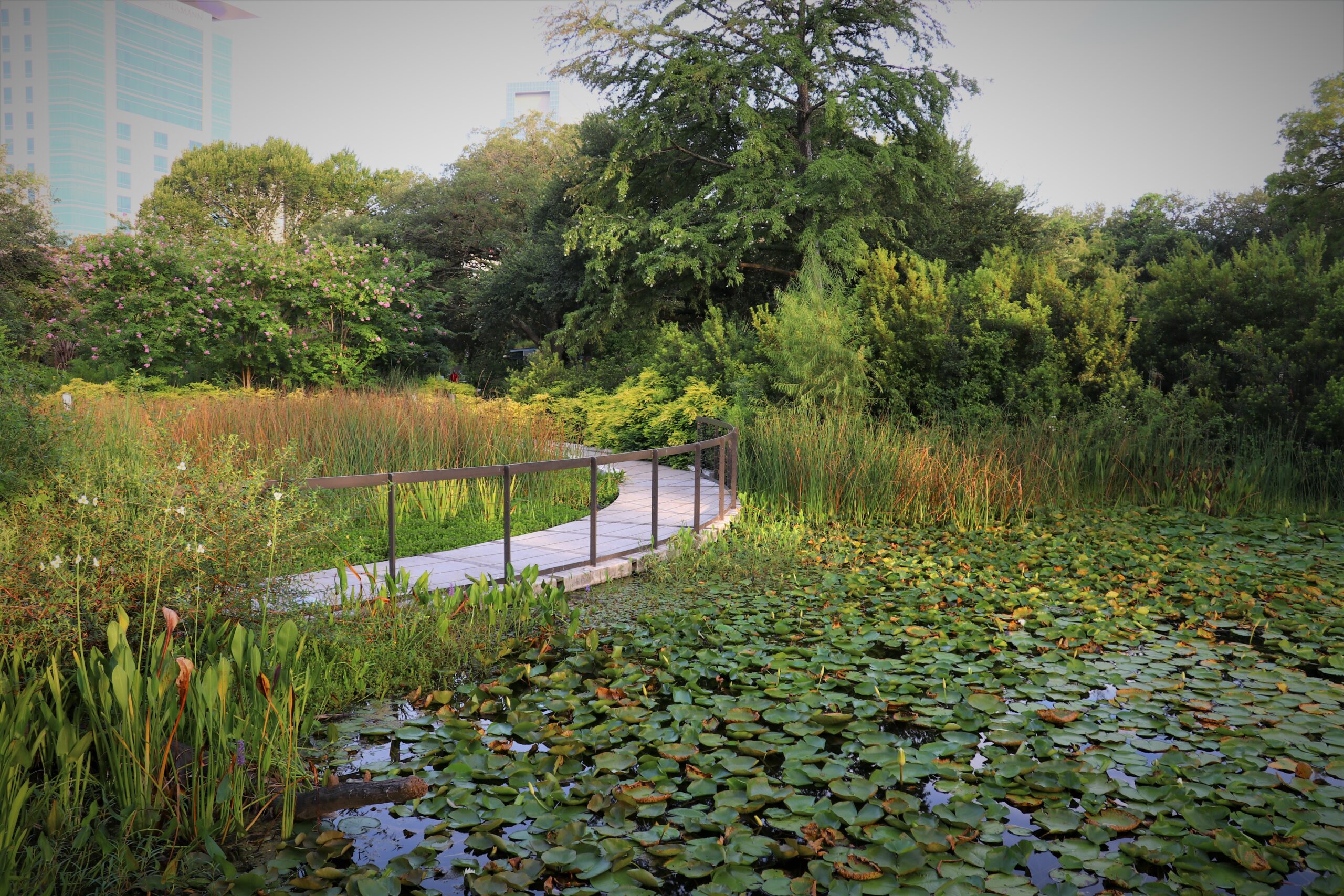 TAZE 2025 - The Houston Zoo