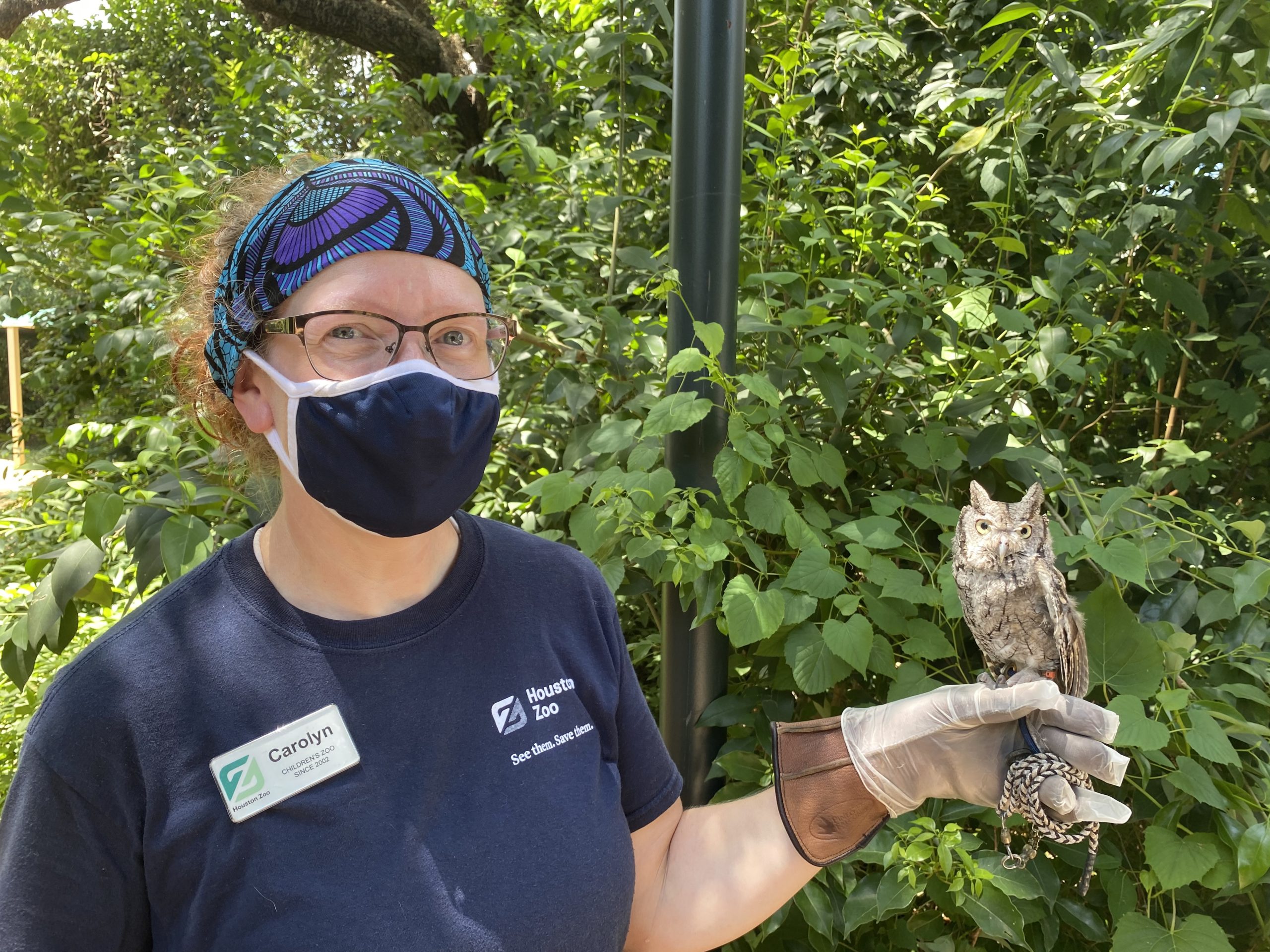Meet Carolyn Zewe - The Houston Zoo