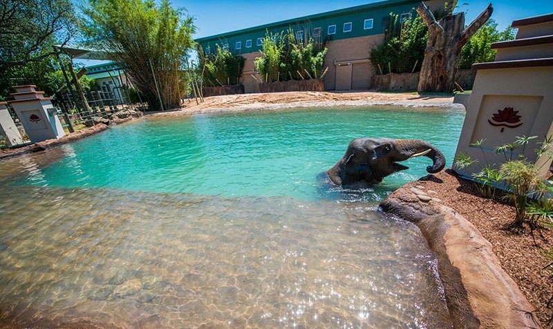 Conservation, Water Quality Style - The Houston Zoo