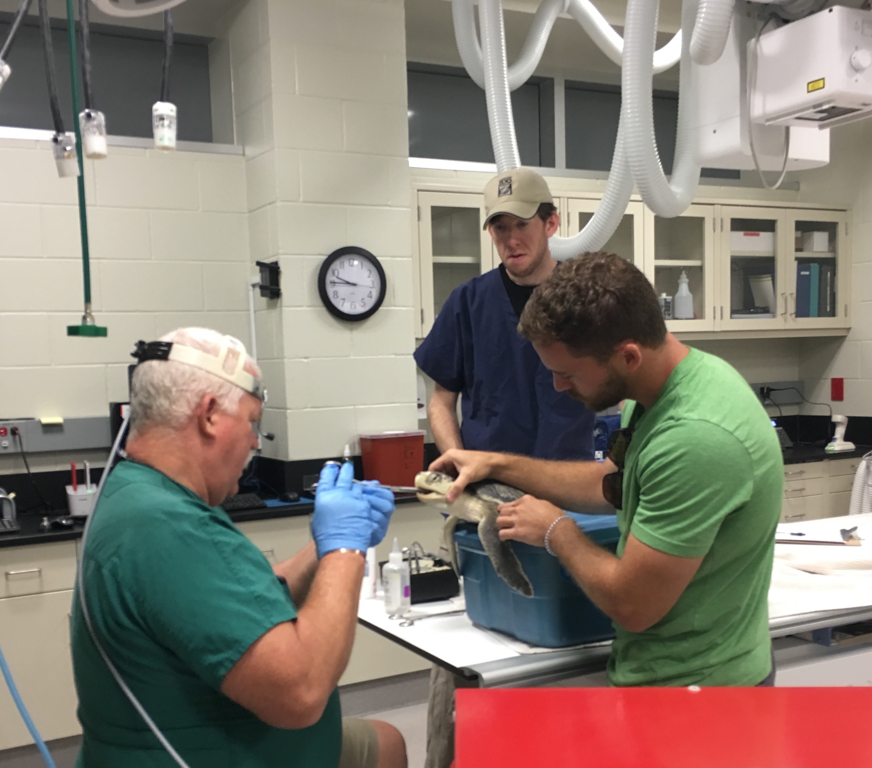 Houston Zoo’s New Veterinary Clinic Provides Care for Rescued Sea ...